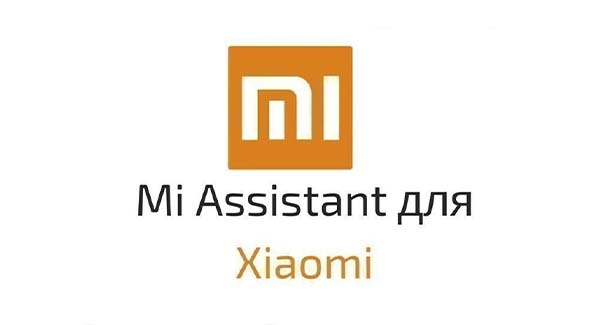 Как установить и настроить Mi Assistant - GOODMi